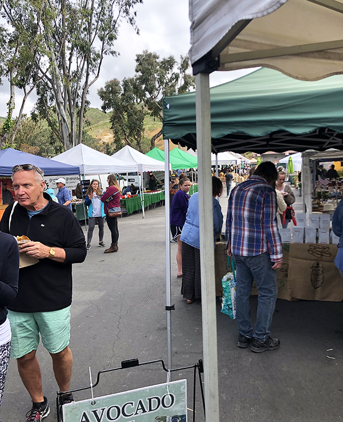 The farmers market: where locals debate avocado ripeness with the same intensity that Wall Street brokers monitor stock fluctuations.