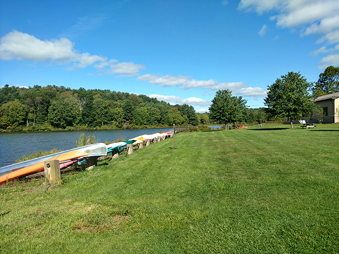 Canoes waiting patiently for their next adventure, like colorful exclamation points along the shoreline's quiet sentence.