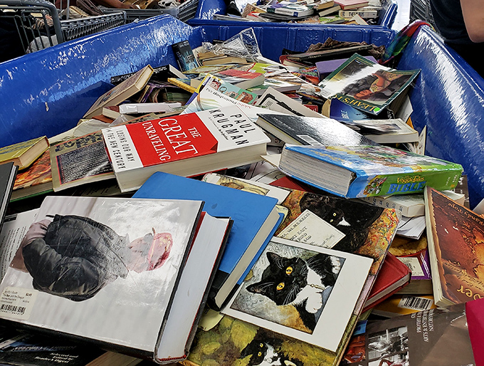 Literary treasures overflow from bins, creating libraries that cost less than single bookstore purchases.