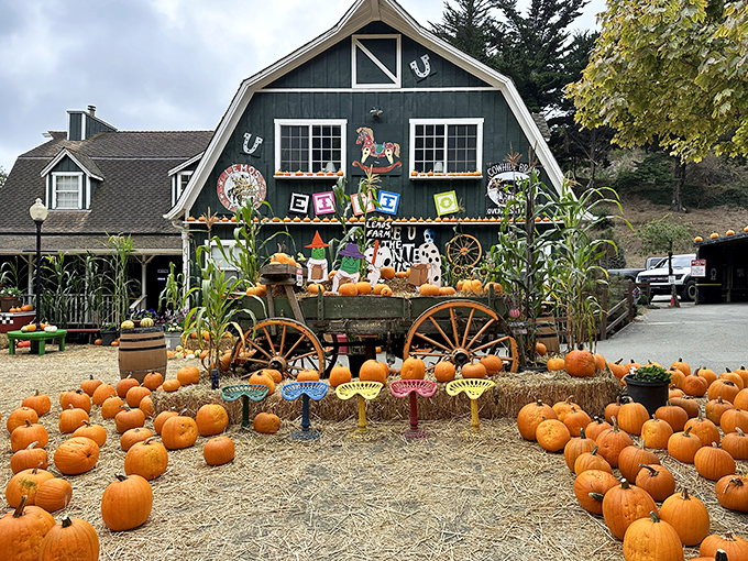 Gourd headquarters: Lemos Farm transforms into pumpkin paradise each fall, where Instagram opportunities outnumber the actual pumpkins.