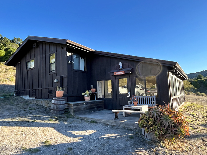 Minimalist architecture meets maximum views. This modern lodge embraces its surroundings rather than competing with nature's splendor.