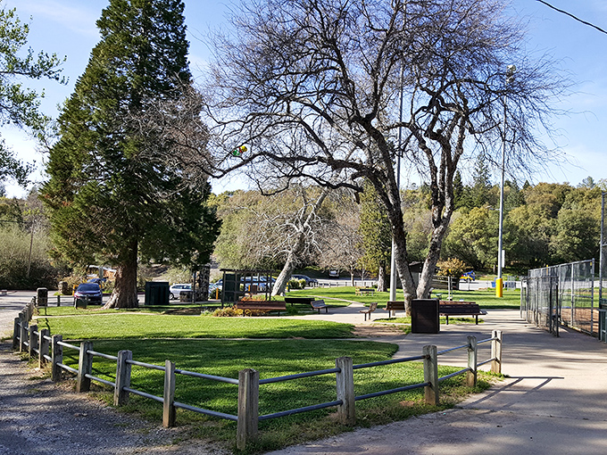 Lions Park offers green space that's more refreshing than a mint julep on a hot day. Those trees have provided shade for countless picnics.