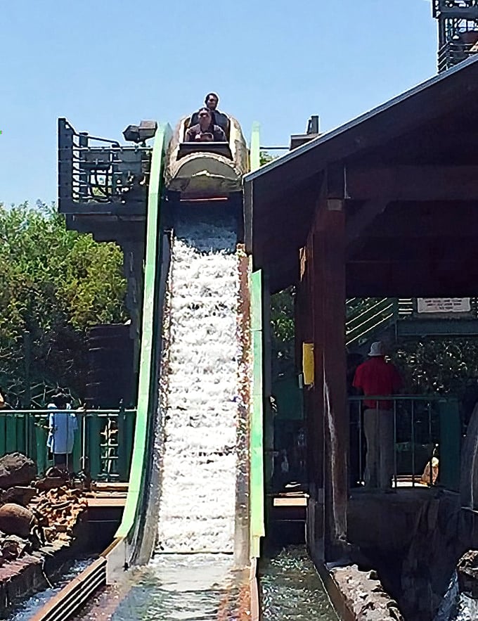 The log ride delivers that perfect splash &ndash; just enough to cool you down without leaving you squishing in wet shoes for the rest of the day.