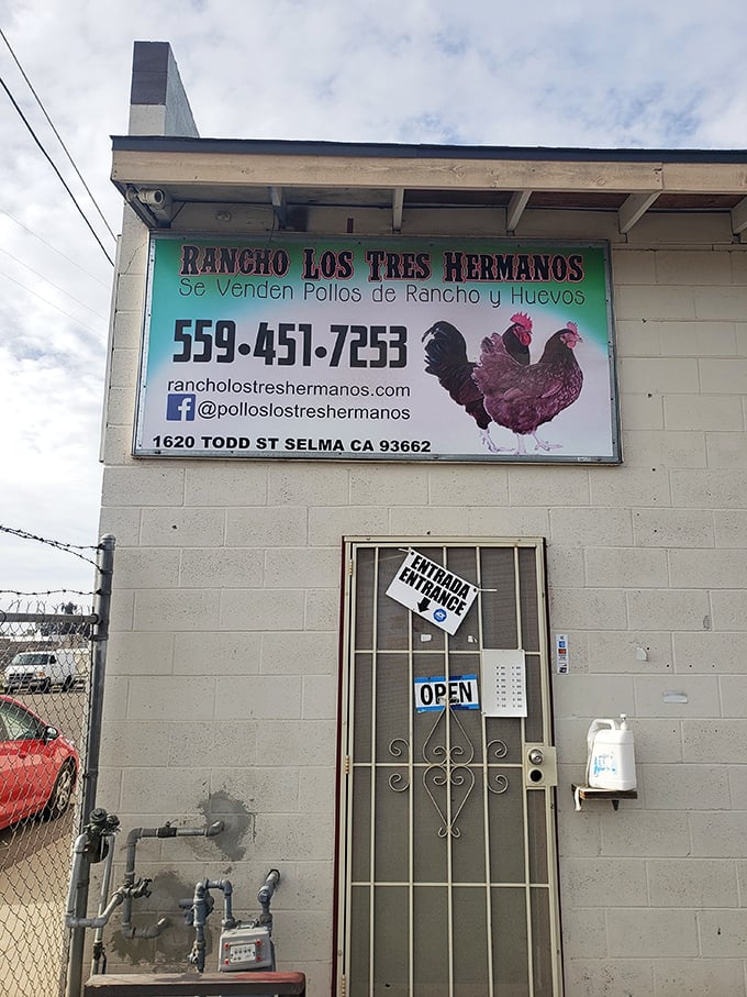 Rancho Los Tres Hermanos represents Selma's agricultural roots, where farm-fresh products connect consumers directly to the land's bounty.