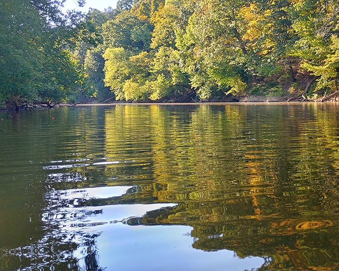 The Loyalhanna Creek reflects autumn's golden splendor, creating nature's perfect mirror where water meets woodland in quiet harmony.