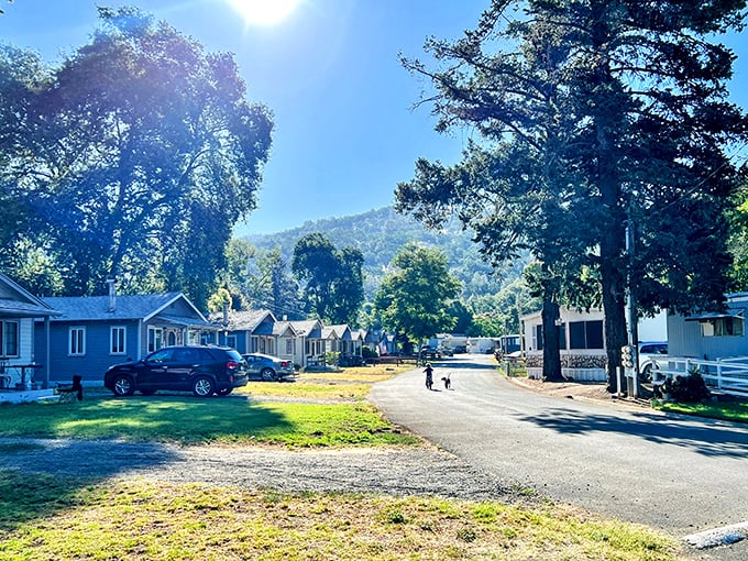 Tree-lined streets where neighbors actually wave hello. The kind of community where borrowing a cup of sugar isn't a sitcom fantasy.