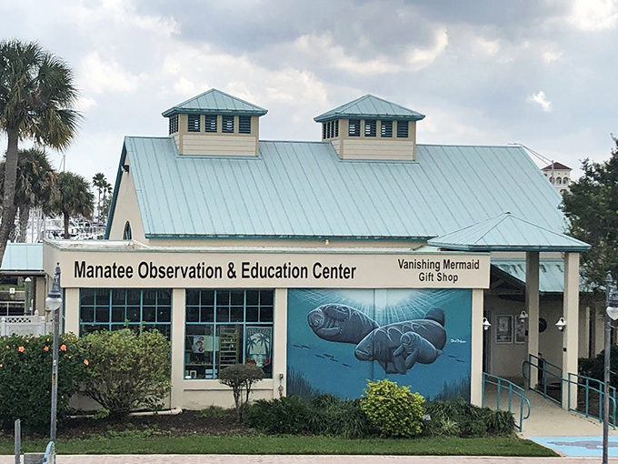 The Manatee Observation Center stands as a cheerful ambassador for Florida's gentle sea cows &ndash; where education and conservation meet adorable aquatic mammals.