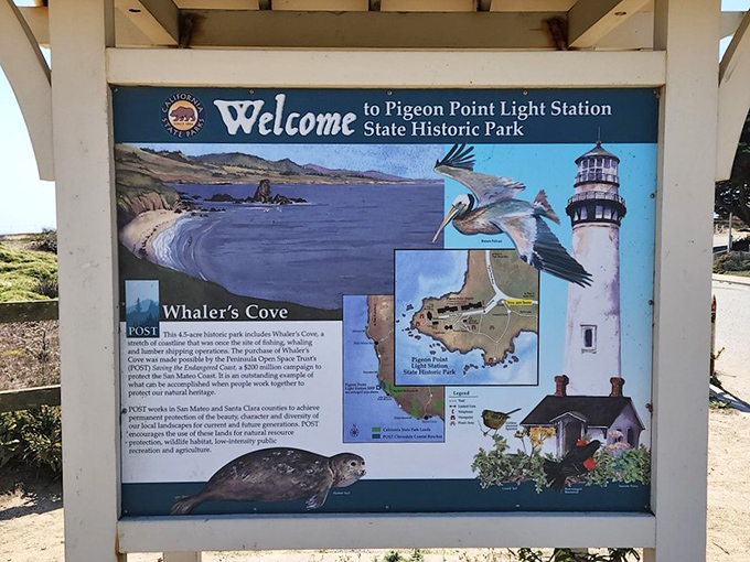 The welcome sign &ndash; where a pelican looks suspiciously pleased about the lighthouse's location, as if it had something to do with it.