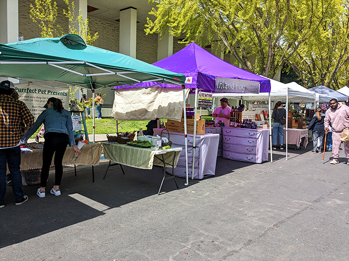 The Modesto Certified Farmers' Market proves eating fresh and local doesn't require a tech salary&mdash;just a Saturday morning and a reusable shopping bag.