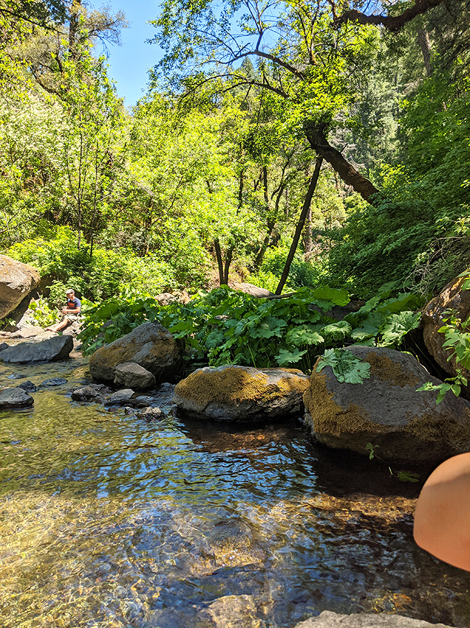 Nature's stepping stones invite exploration downstream, where the water slows down after its dramatic plunge performance.