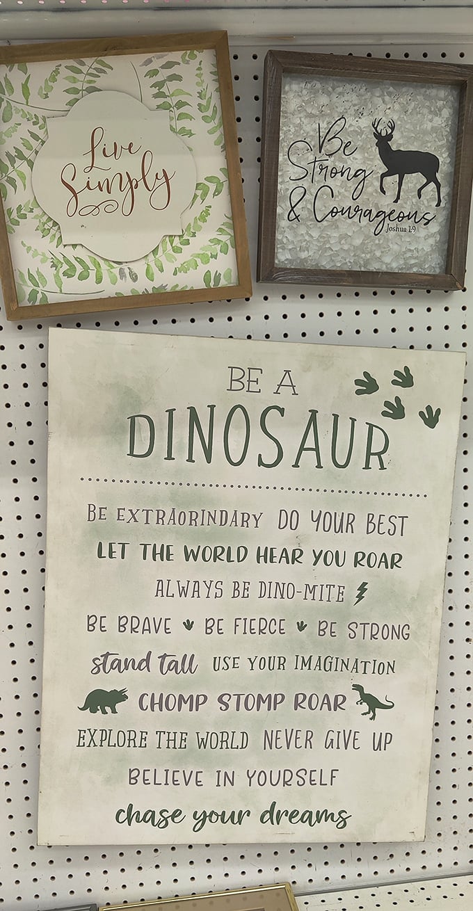 Inspirational wall art that reminds us to "Be a Dinosaur." Apparently that means being extraordinary and letting the world hear you roar!