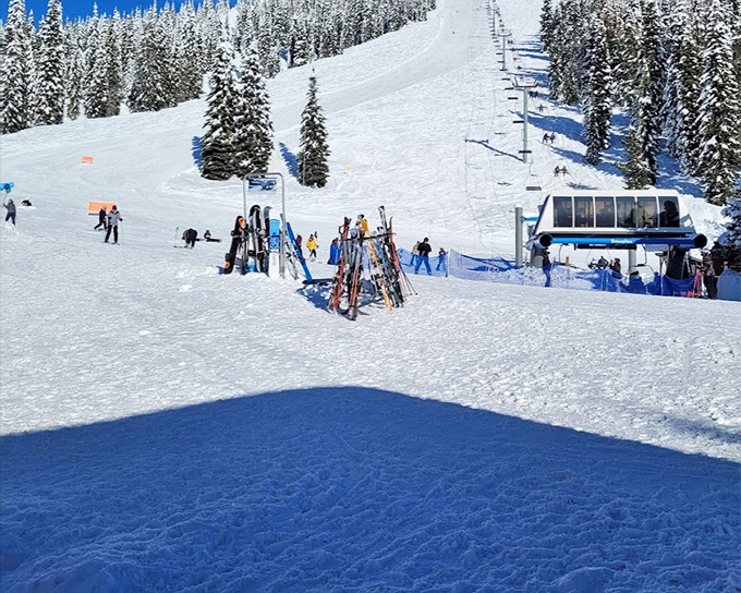 Ski paradise where "fresh powder" isn't just a phrase but a way of life. The only traffic jams here involve eager skiers eyeing the perfect run.