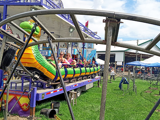 The county fair brings out the kid in everyone. Nothing says "I'm living my best life" like riding a dragon roller coaster at 70.
