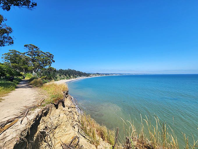 The coastal trail at New Brighton State Beach offers dramatic cliff views that make everyday joggers feel like they're starring in their own California tourism commercial.