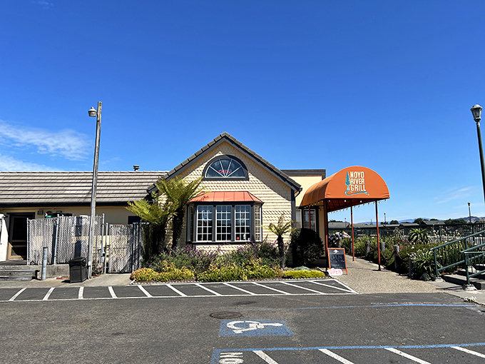 Noyo River Grill knows seafood should taste like the ocean, not like it traveled coach from somewhere landlocked.