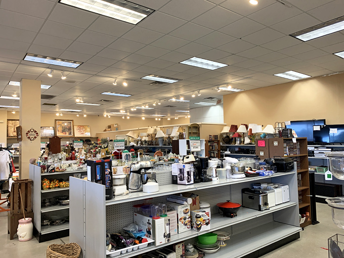 Small appliances and kitchen gadgets await their chance to prove that one person's donation is another person's culinary revolution.