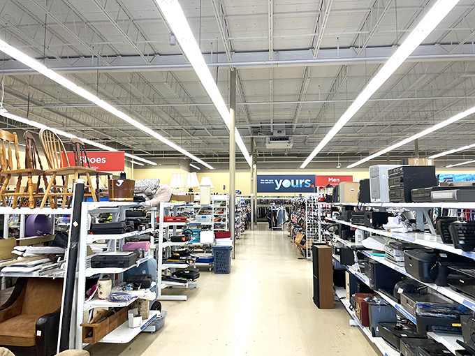 Wide aisles of possibility where your next conversation piece is hiding in plain sight among everyday essentials.