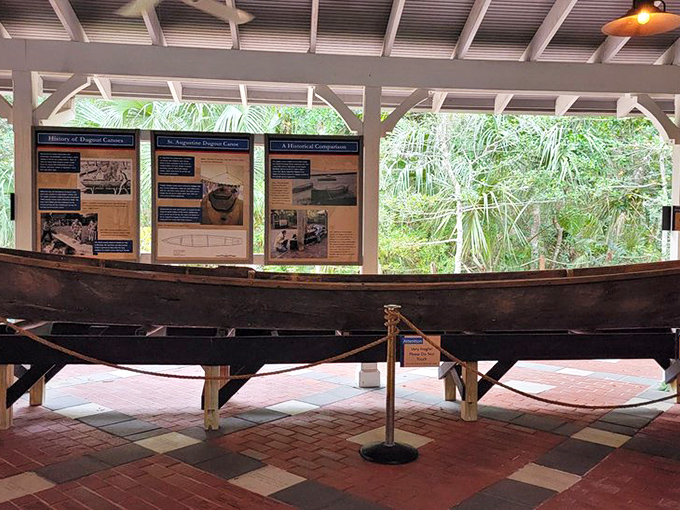 This reconstructed dugout canoe represents centuries of maritime tradition, when Florida's waterways were the original highways of commerce and exploration.