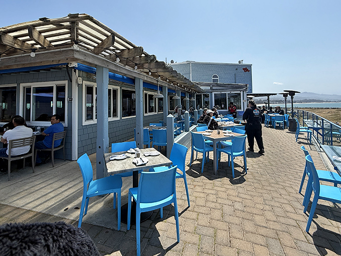 The outdoor dining area proves that blue chairs and ocean views are the perfect pairing for seafood indulgence.