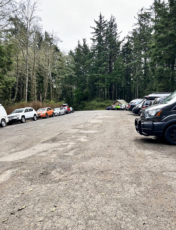 Journey's pause. The parking area fills with vehicles bearing license plates from across the country—all drawn to this coastal gem.