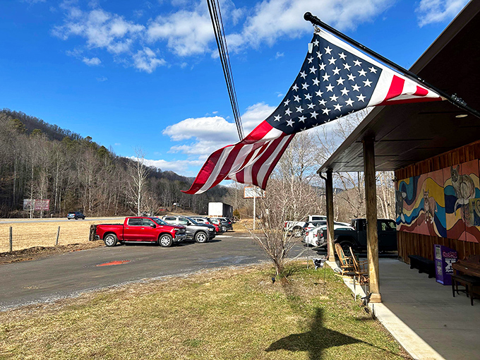 The museum's mountain setting provides a scenic backdrop for visitors. Even the American flag seems to wave in feline approval.