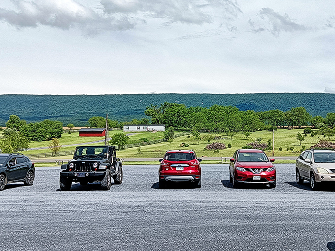 The view that greets you after a successful hunt&mdash;rolling Virginia mountains that remind you why they call this "God's country."