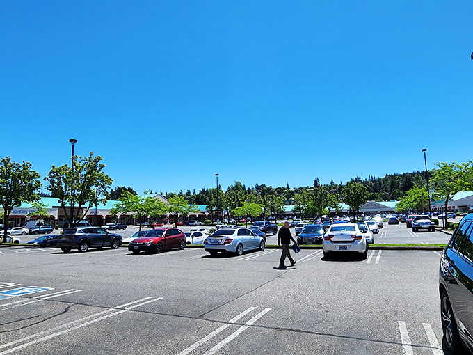 The parking lot on a sunny day &ndash; a rare Oregon sight almost as magical as the deals waiting inside.