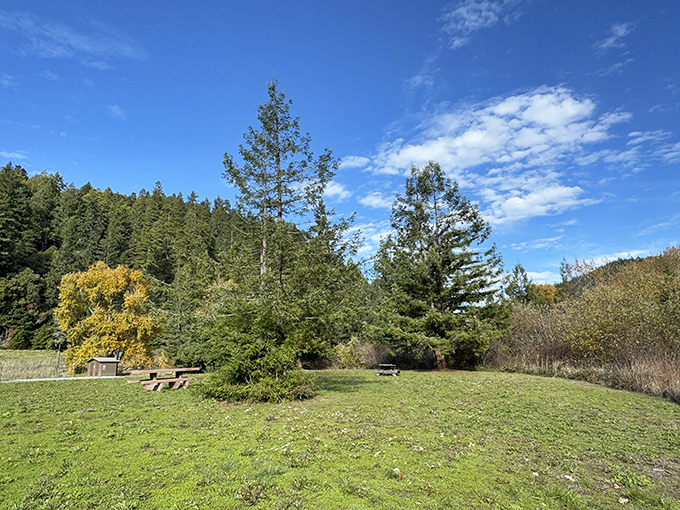 Even the rest areas here outshine most city parks. Mother Nature doesn't do "ordinary" in Humboldt County. 