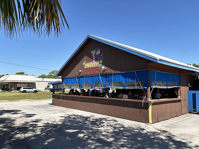 Parrott Island's tiki-style setup whispers "island time" without the passport or overpriced rum drinks.