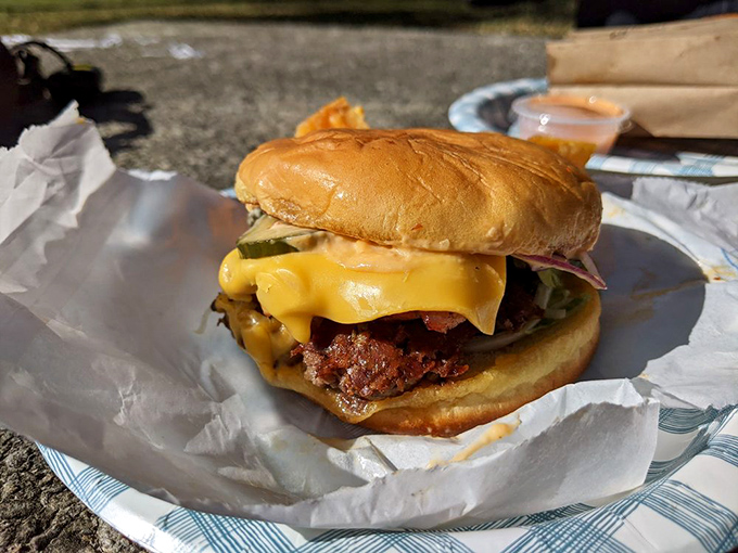 Sunshine illuminates the perfect cheeseburger &ndash; nature's spotlight on human achievement. That melty cheese cascade is what dreams are made of.