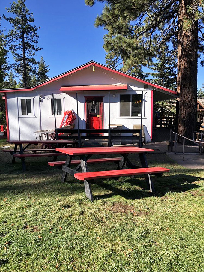 When Tahoe weather cooperates, the outdoor picnic tables offer pine-scented dining with a side of mountain air.
