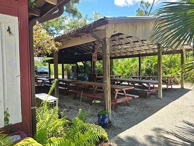 Florida's tropical climate makes outdoor dining a natural choice, where picnic tables under rustic shelter invite lingering conversations and second helpings.