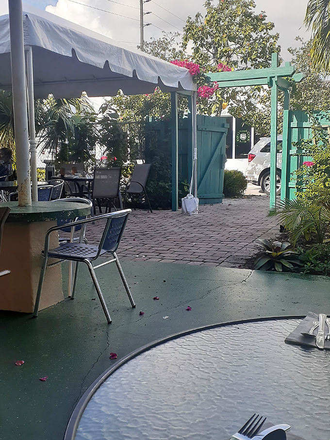 An outdoor oasis where you can enjoy your Benedict with a breeze and maybe spot a passing pelican.