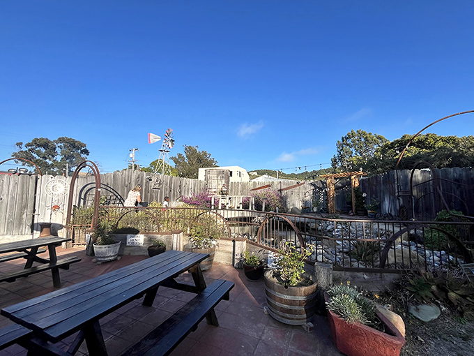 The outdoor patio offers a moment of Central Coast tranquility—a place to digest both your meal and the simple pleasure of discovering a restaurant that exceeds its reputation.