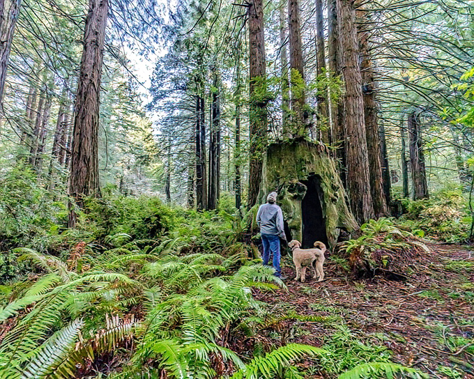 Patricks Point Drive winds through a community where "ocean view" isn't a real estate exaggeration but rather an understatement of epic proportions.