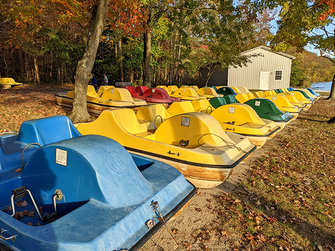 The navy of neon: paddle boats awaiting their captains like a fleet of cheerful water beetles. No sailing experience required.