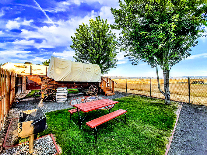 A covered wagon and picnic table create the perfect western vignette. Golden wheat fields stretch to the horizon like nature's welcome mat.