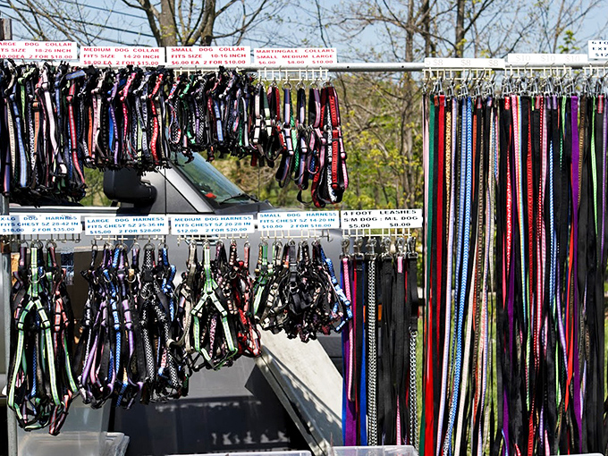 Dog owners, rejoice! This leash lineup proves your furry friend's accessories can be as stylish and personality-filled as your own.