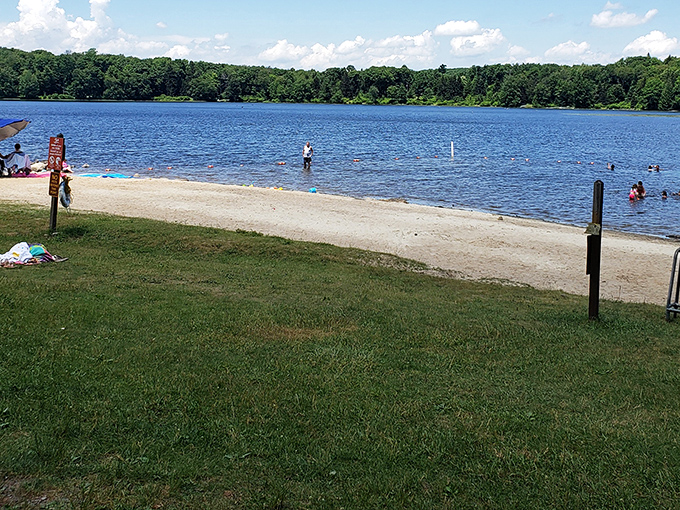 Beach day, Pennsylvania style! No sharks, no saltwater hair, just pure freshwater bliss surrounded by mountains instead of overpriced resorts.