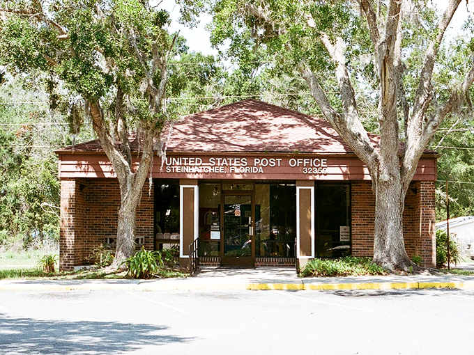 Even the post office in Steinhatchee embraces its natural setting &ndash; nestled among live oaks draped with Spanish moss, small-town America at its finest. 
