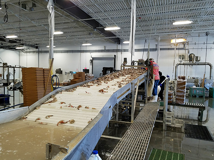 From boat to processing line to your plate&mdash;the seafood equivalent of farm-to-table. This is how transparency tastes.