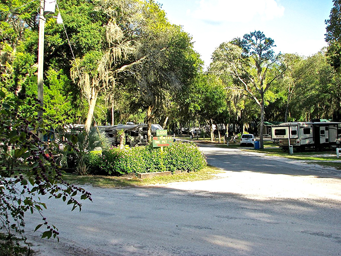 RV living gets a Spanish moss makeover at this shaded campground. Temporary neighbors become instant friends under the cathedral-like canopy of ancient trees.