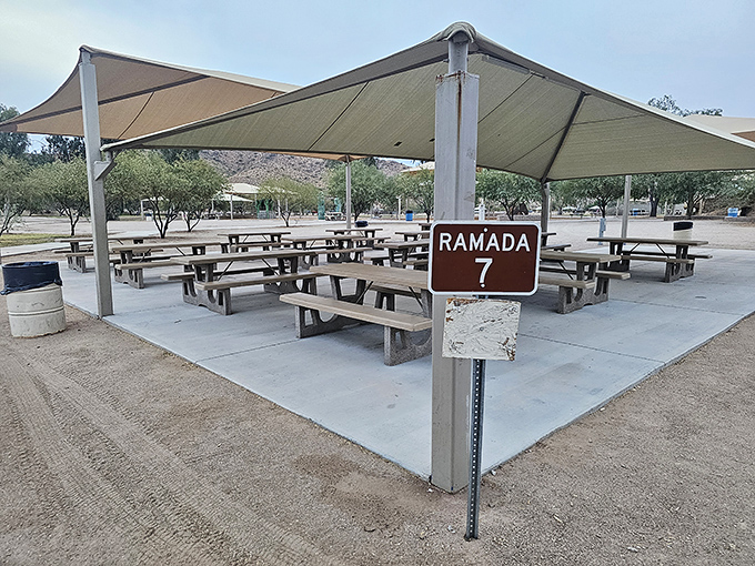 Ramada 7: Desert dining al fresco, where the table service is DIY and the ambiance is five-star. Picnics were never meant to be this scenic.