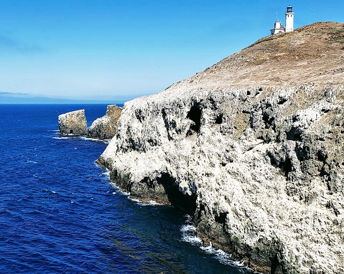 The trail beckons adventure-seekers toward the lighthouse, promising views worth every step of the journey across this windswept island.
