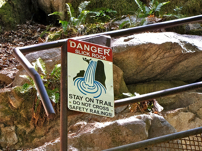 Nature's beauty comes with necessary cautions. This sign might as well say "Instagram photos not worth broken bones."