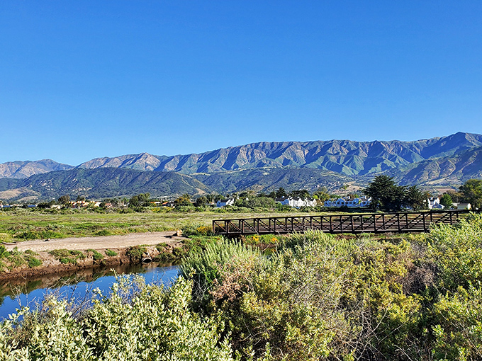 The Salt Marsh bridges connect visitors to hidden wetland treasures, with mountains standing guard like ancient sentinels in the distance.