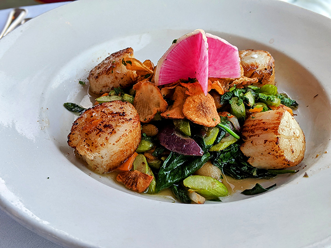 These seared scallops aren't just dinner; they're buttery-sweet ocean medallions performing a delicate balancing act with seasonal vegetables.