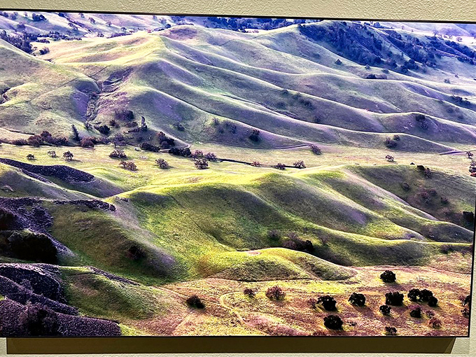 Bill Dewey's "Sedgwick Hills" captures California's rolling landscapes in that magical moment when light transforms ordinary hills into velvet sculptures.