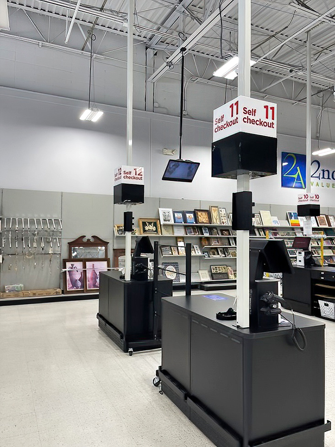 Self-checkout stations standing like sentinels of efficiency, ready to tally your treasures without judgment on that fourth decorative owl.