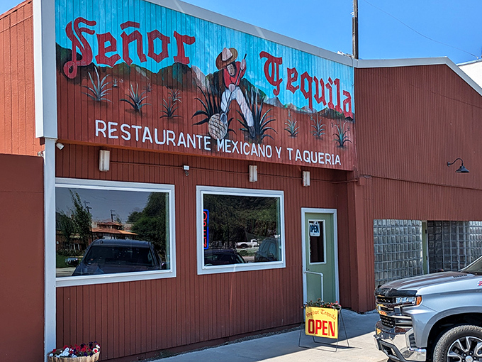 Se&ntilde;or Tequila promises authentic Mexican flavors in a building as vibrant as its salsa. No passport required for this culinary journey.